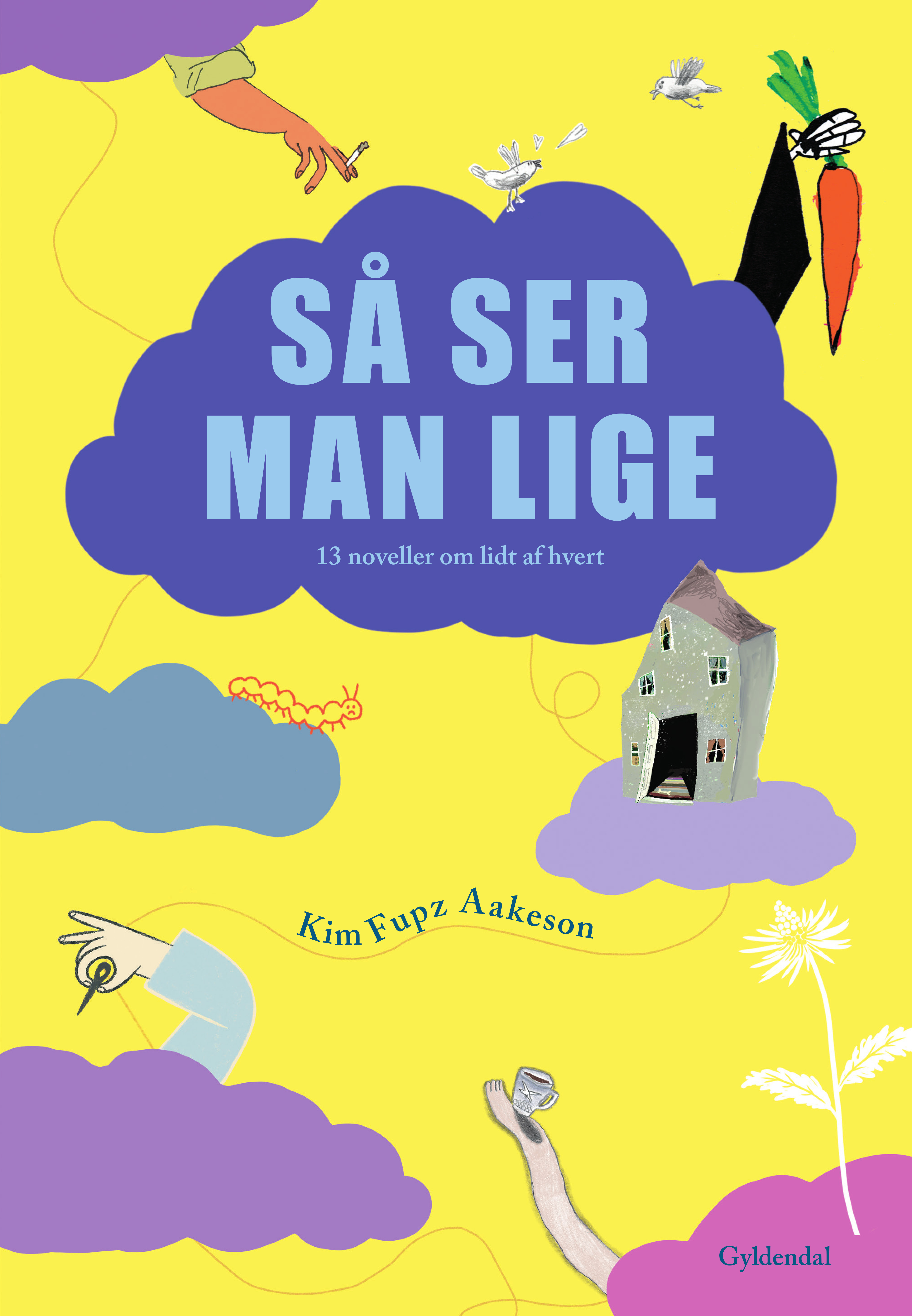 Så ser man lige - 13 noveller om lidt af hvert af Kim Fupz Aakeson