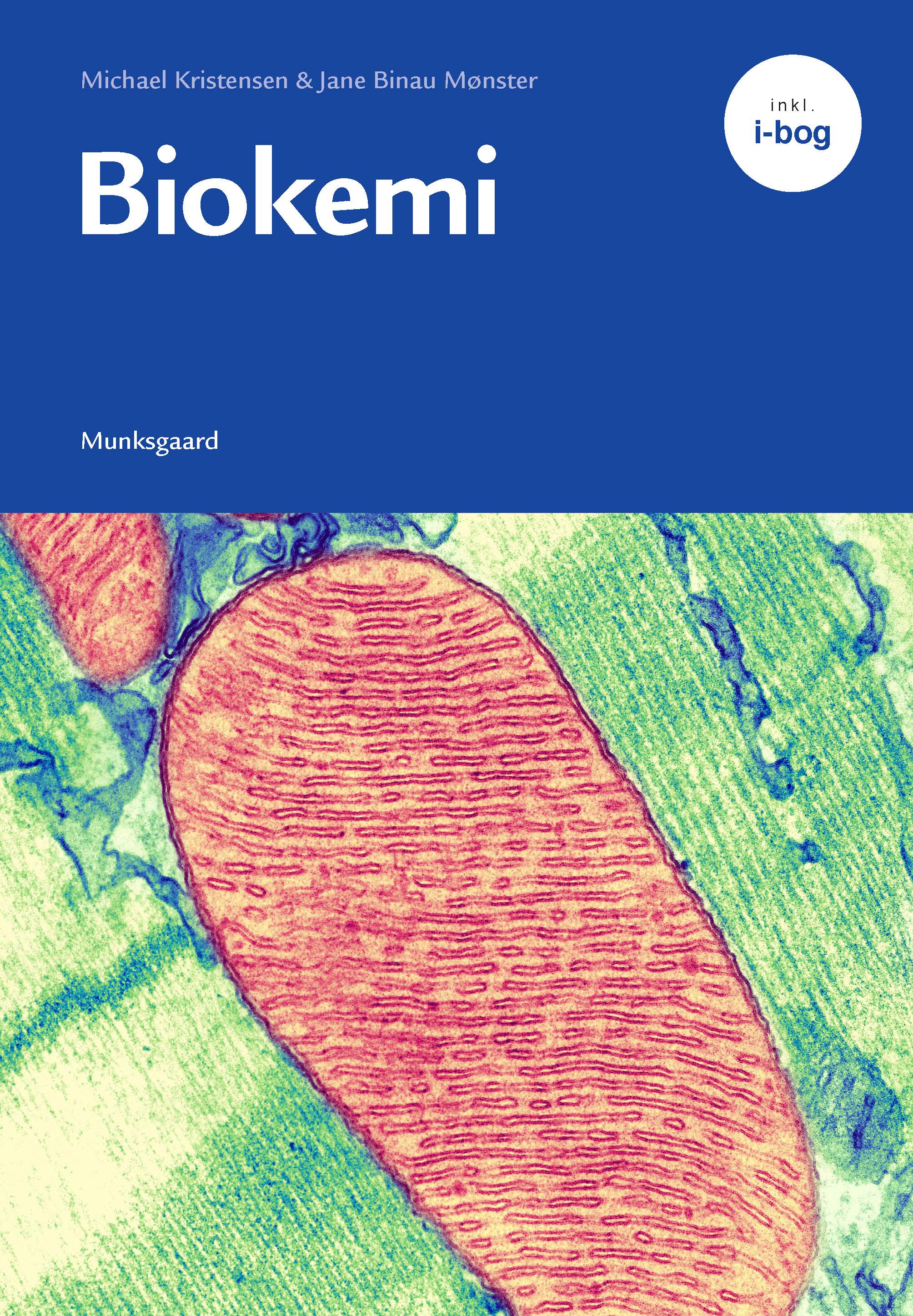 Biokemi (i-bog) af Michael Kristensen m.fl.